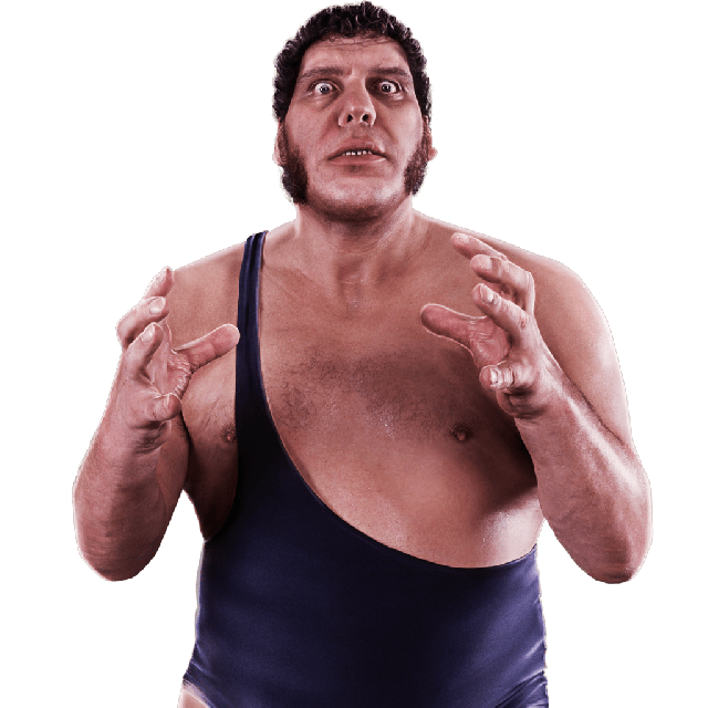 Wwe 2k15 Brie Bella Render