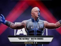 Dustin Rhodes | AEW Fight Forever Roster