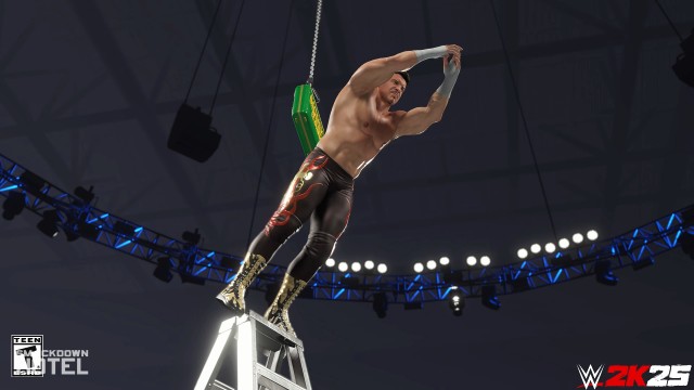 WWE 2K25 Screenshots | Images Gallery