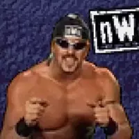 Buff Bagwell: Profile, Career Stats, Face/Heel Turns, Titles Won ...