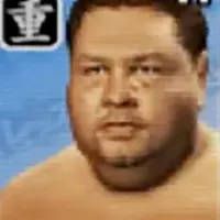 Akebono: Profile, Career Stats, Face/Heel Turns, Titles Won & Gimmicks ...