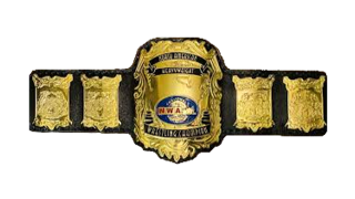 NWA Roster in 1995: Full List of Wrestlers, Teams, Champions