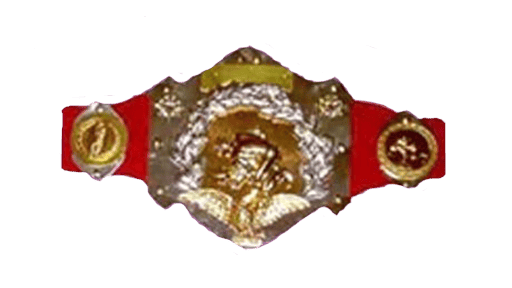 WWE Intercontinental Championship | WWE Title History