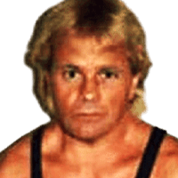 WWF Survivor Series 1993 Full Results & Match Card