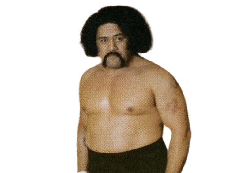 Afa: Profile, Career Stats, Face/Heel Turns, Titles Won & Gimmicks ...