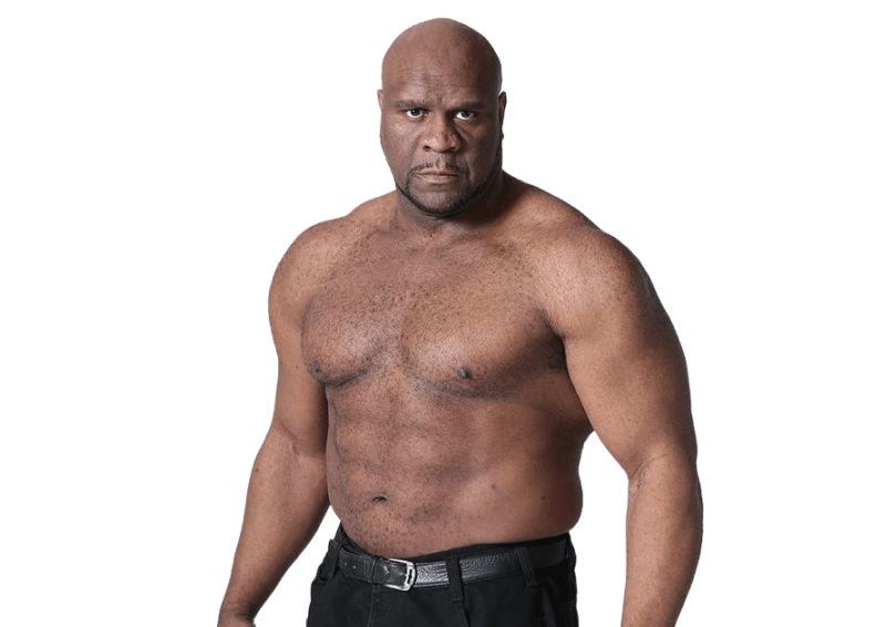 Sapp Wrestler Bob Sapp | Live Action Wiki | Fandom