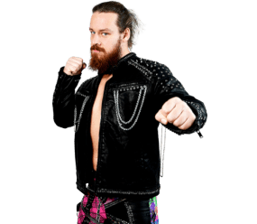 David Finlay: Profile, Career Stats, Face/Heel Turns, Titles Won ...