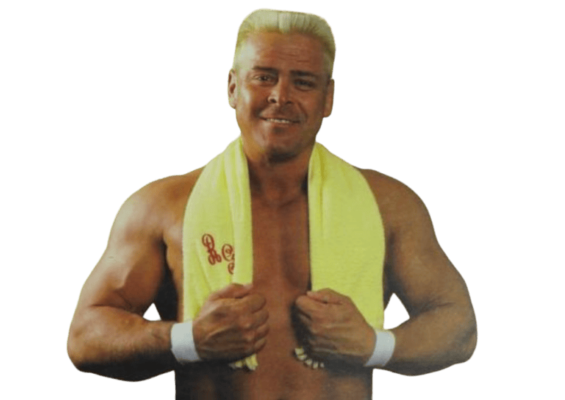 Ronnie Garvin: Profile, Career Stats, Face/Heel Turns, Titles Won ...