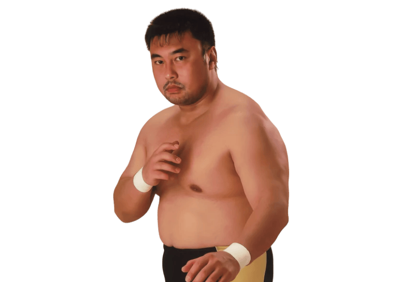 Toshiaki Kawada: Profile, Career Stats, Face/Heel Turns, Titles Won ...