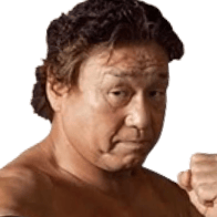 Genichiro Tenryu: Profile, Career Stats, Face/Heel Turns, Titles Won ...