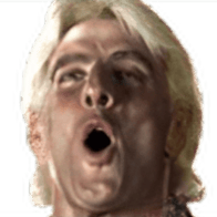 Ric Flair: Profile, Career Stats, Face/Heel Turns, Titles Won ...